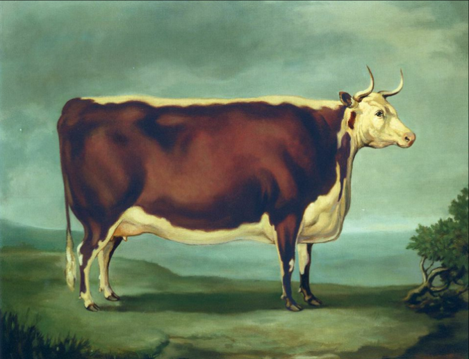 The Silver Cow Historic Hereford Print – Shop Hereford